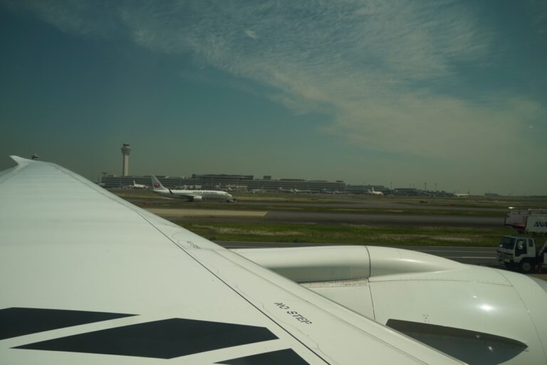 インドに行きたくない！デリー空港行きのJAL国際線が快適すぎてもはやずっと機内にいたかった【インド一周5】 - ミズイロノタビ